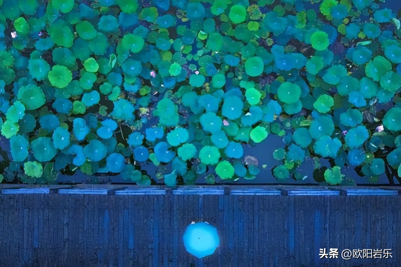 Shooting skills: how to shoot lotus in rainy days? - iNEWS