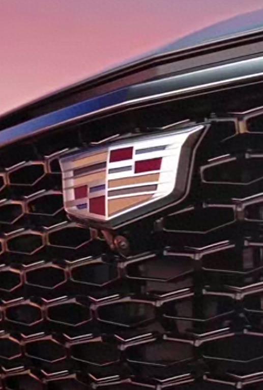 Three movie stars and celebrities co-starred, the protagonist's ...