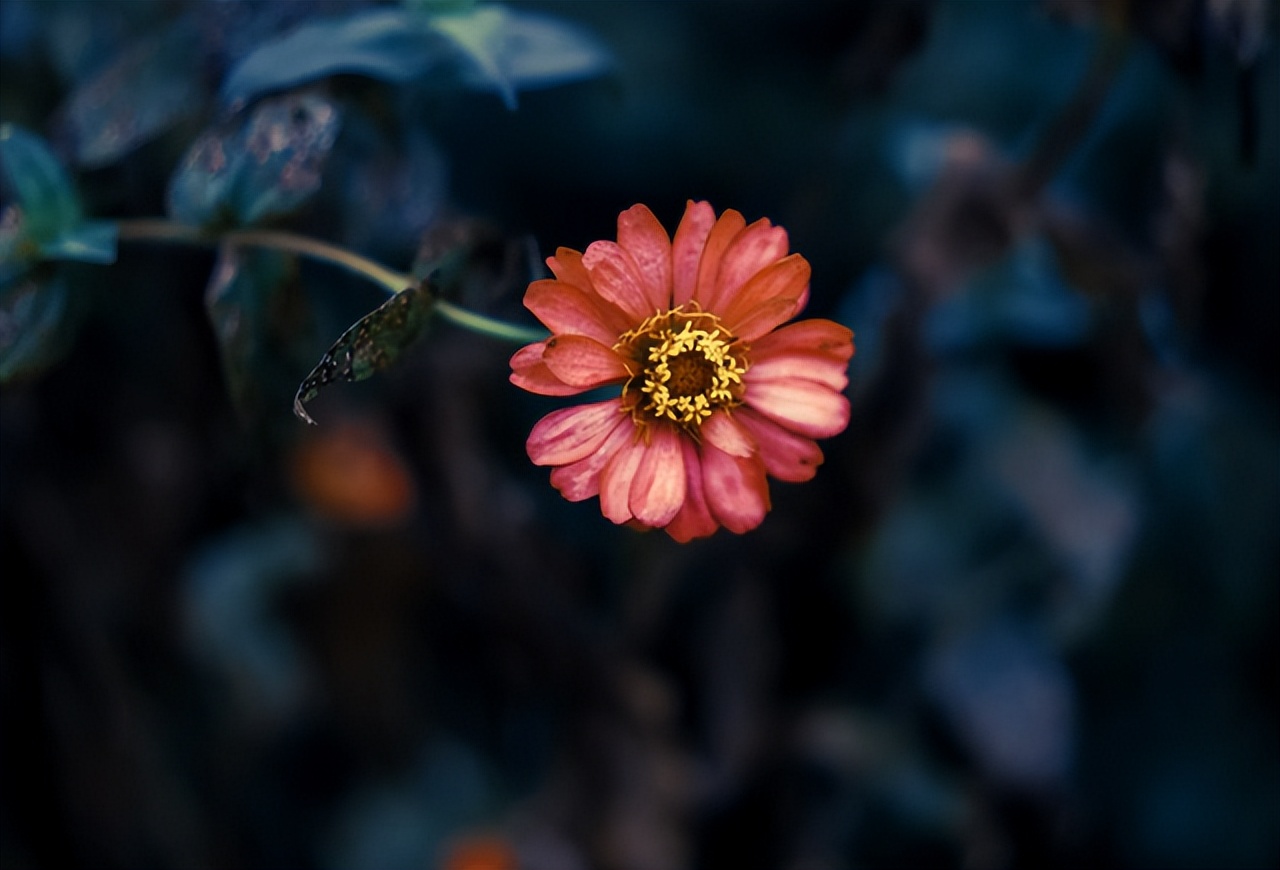 Liu Zhenyun's ten most famous sentences, every sentence is incisive and ...