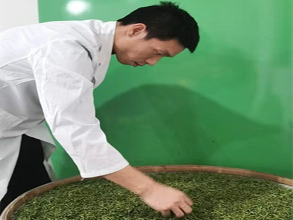 "Famous Tea Famous Spring" "Mist Roots" of Lushan - Yunwu Tea - iNEWS