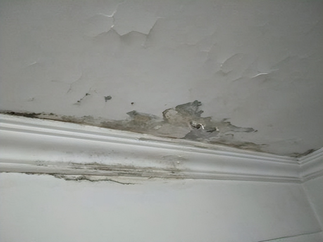 What if the ceiling leaks? Check out these solutions! - iNEWS