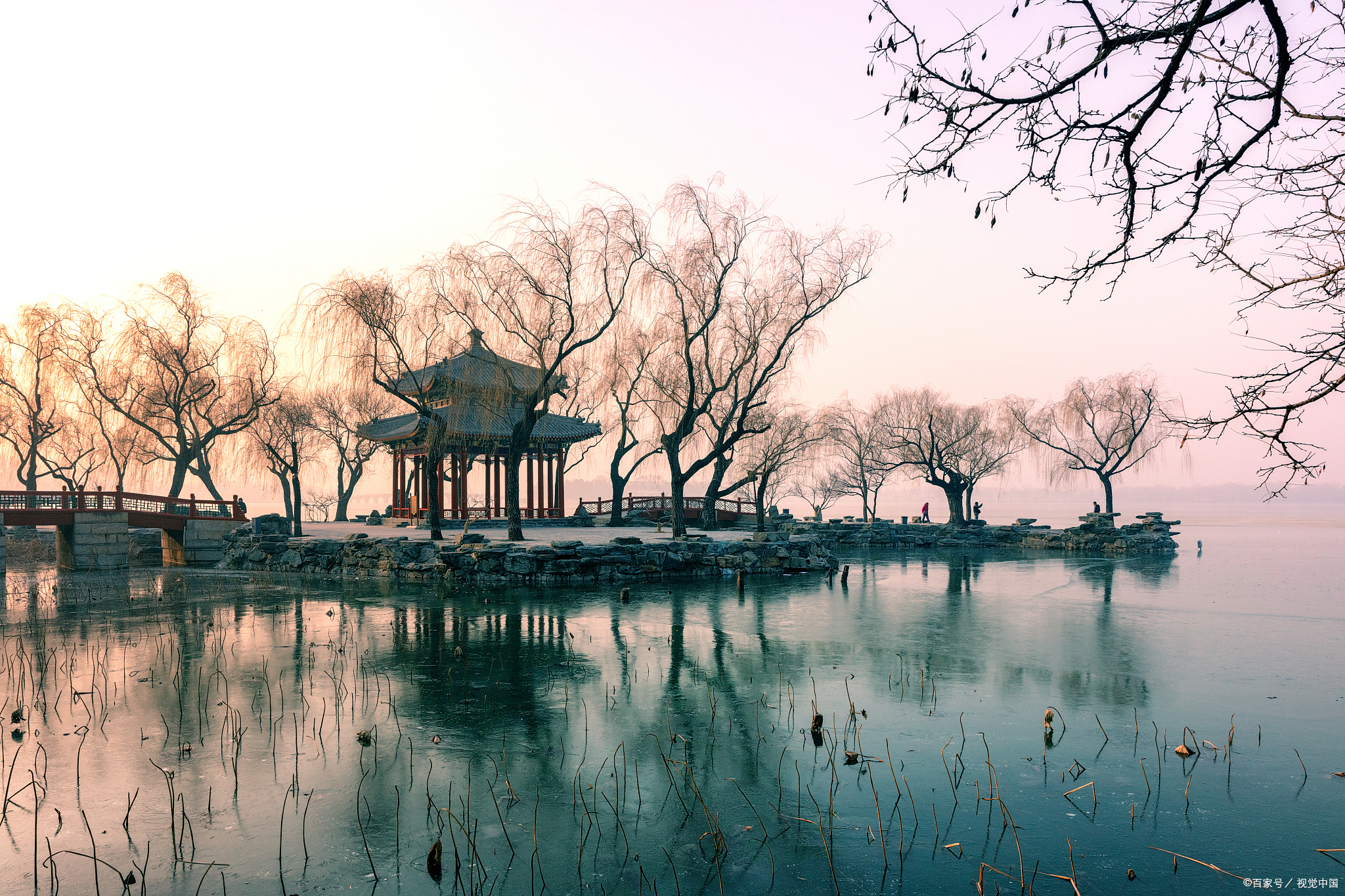 Song Ci Magnolia Song Qi - iMedia