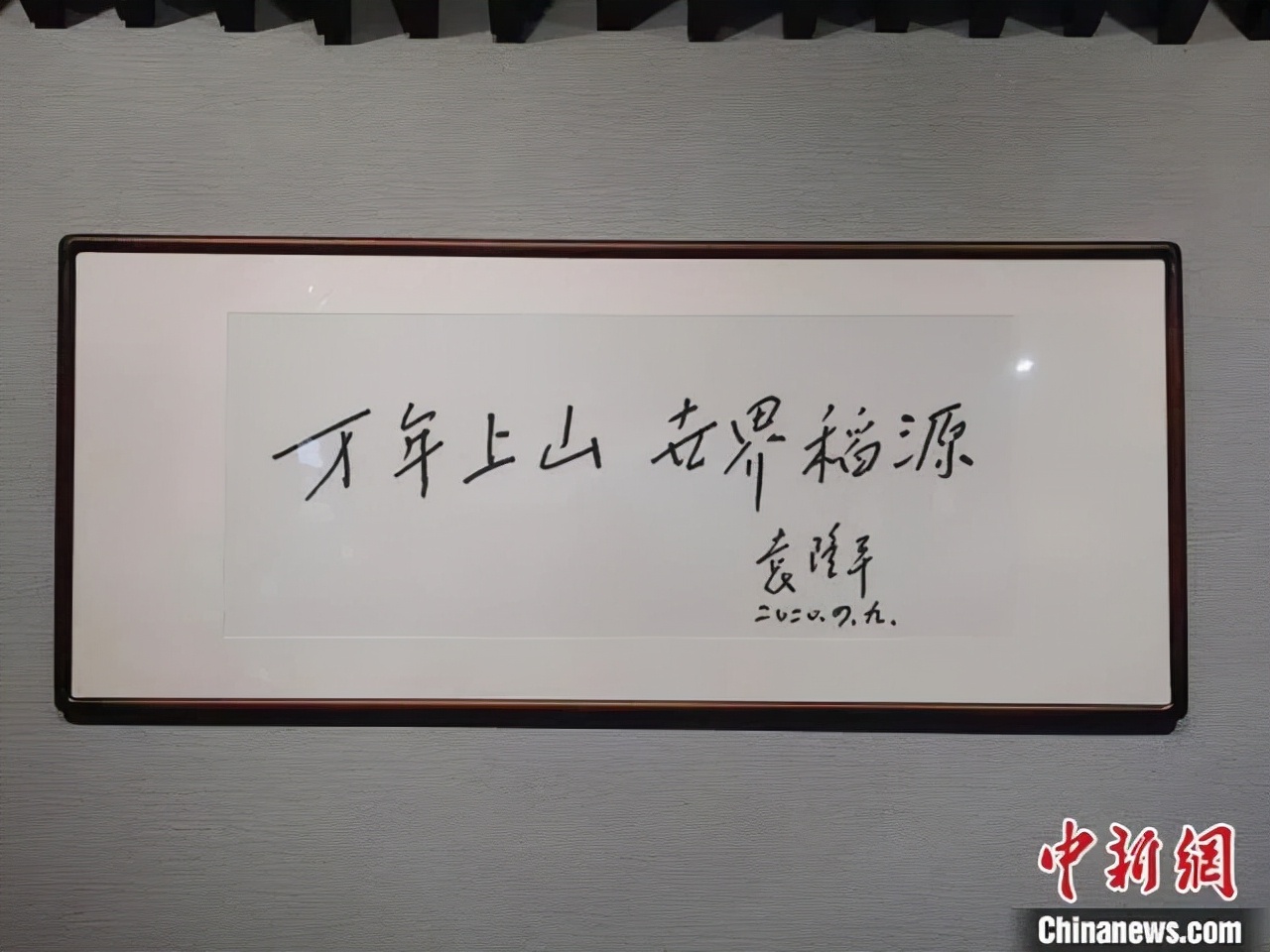 "The world's first grain of rice", what is the meaning of civilization ...