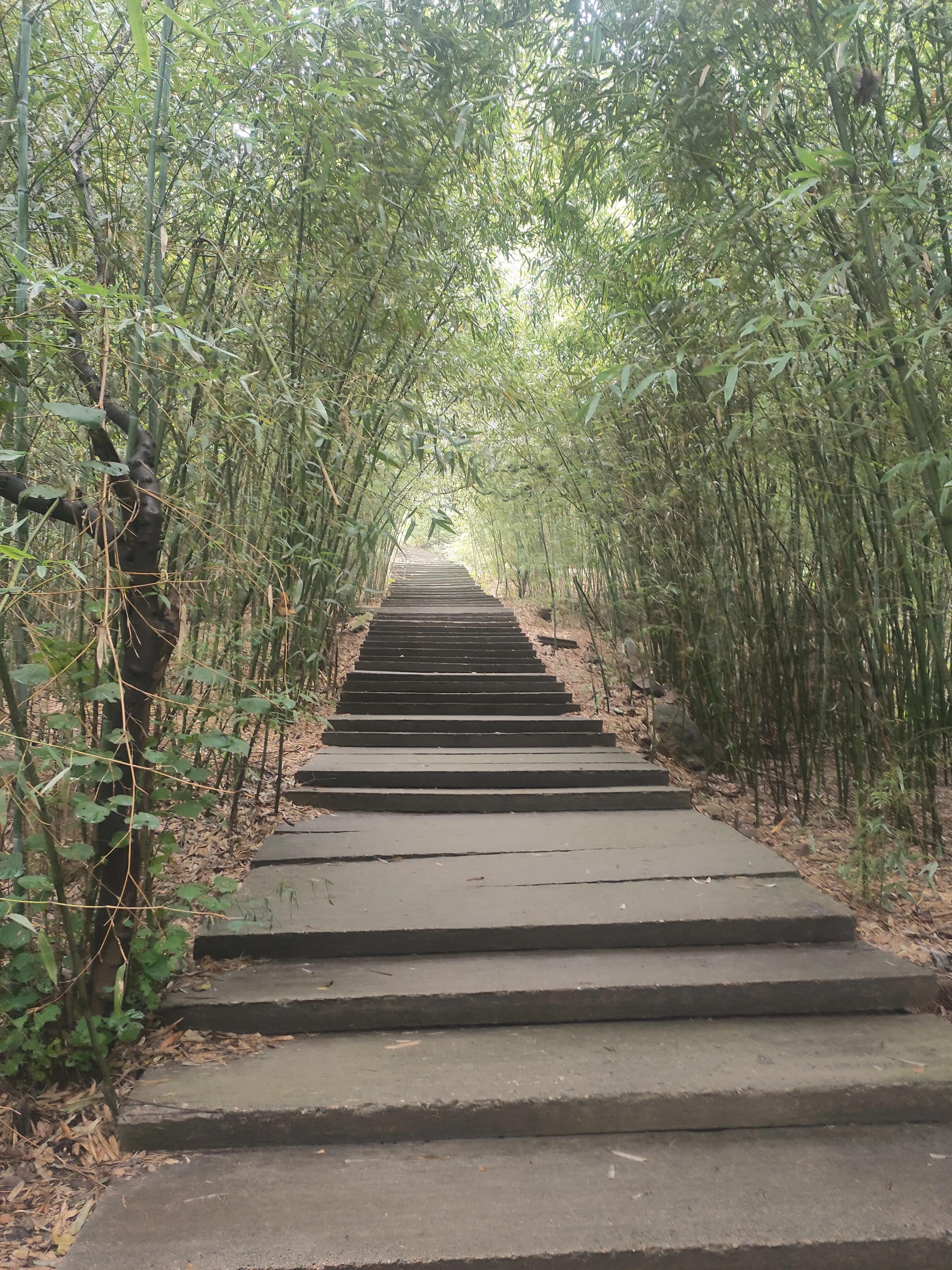 Go to Gozenji Temple - iNEWS