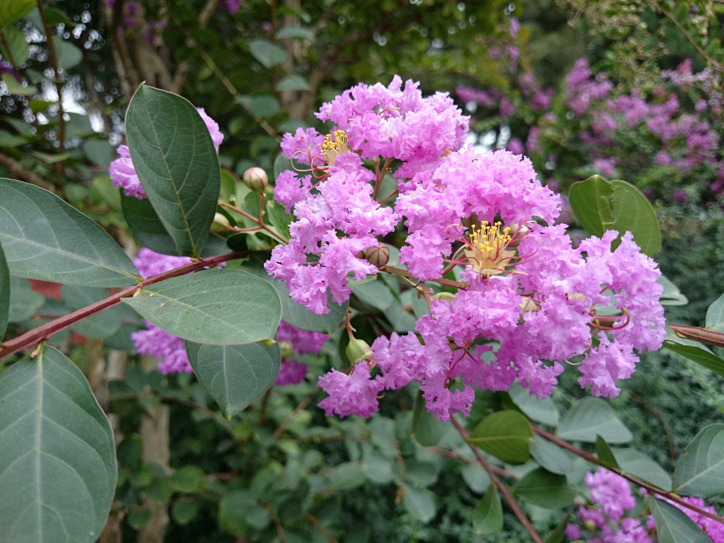 Bai Juyi's Self-Regulation on Overtime Night Shift "Who is the ...