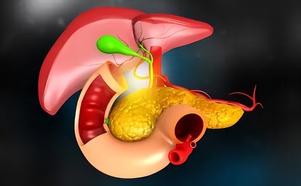 What is an ectopic pancreas?Need treatment?hope to know - iNEWS