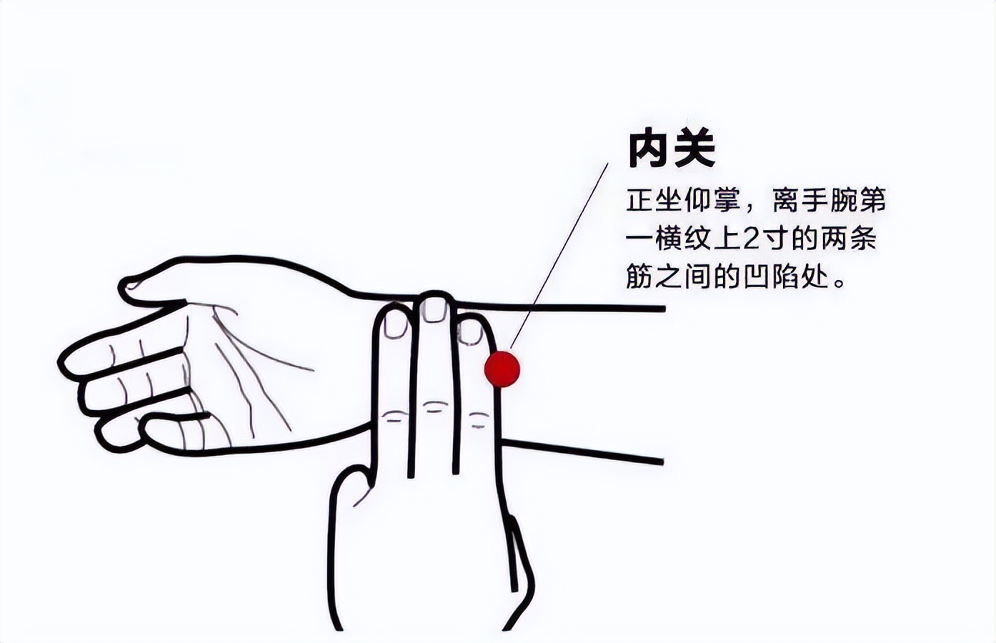 There are four acupuncture points on the hand that can cure all ...