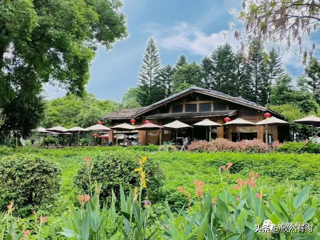 Li Zhihui: Listening to the Rain in Late Spring and Expressing His ...