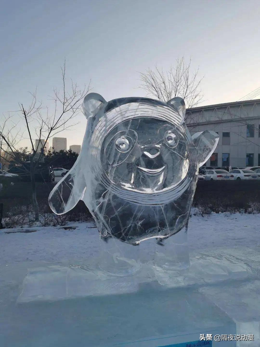 How did Bing Dundun, who was sprayed "very ugly" three years ago, come ...