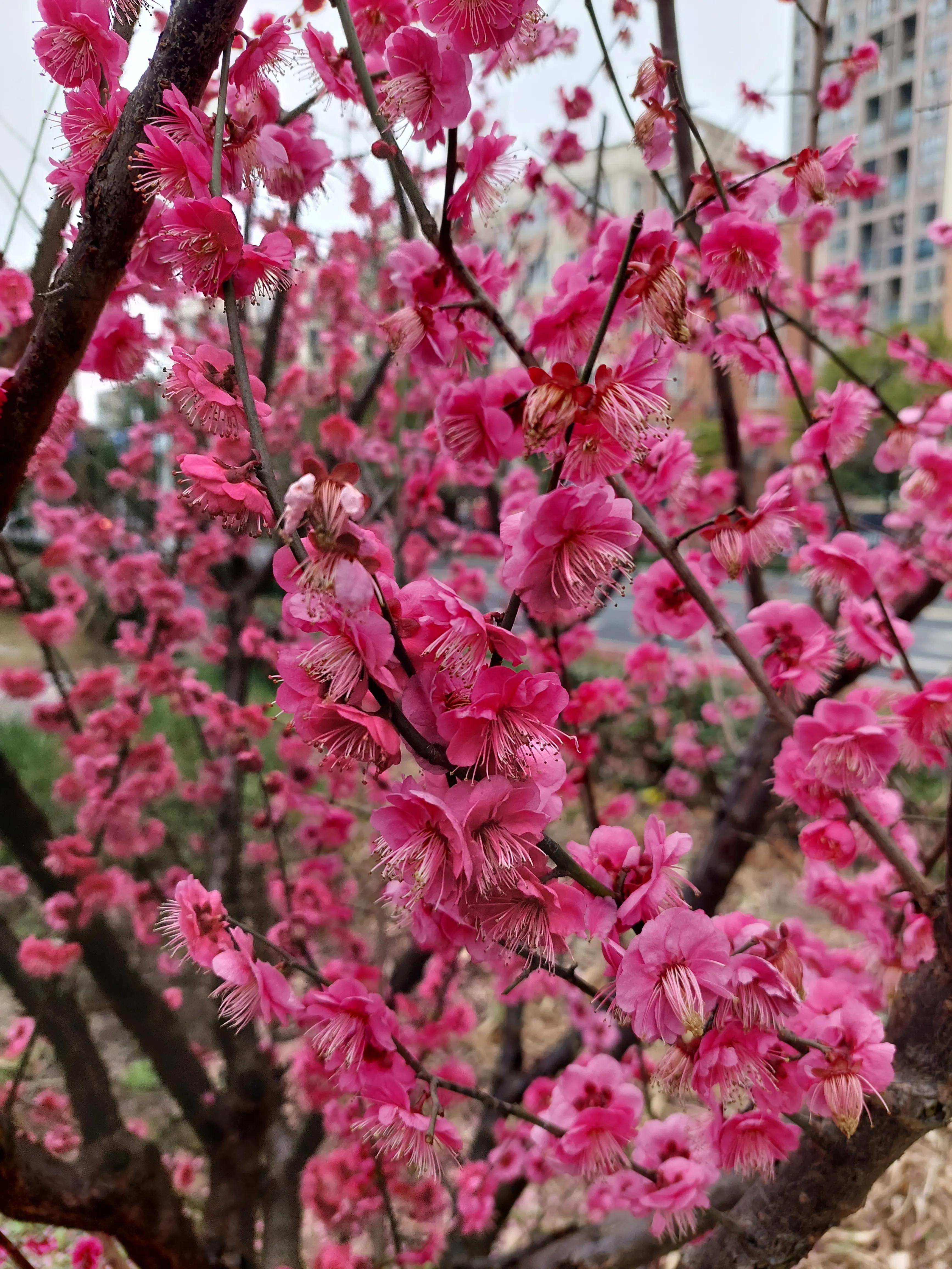 It's hard to find a job, it's hard to find a job, it's hard to find a ...