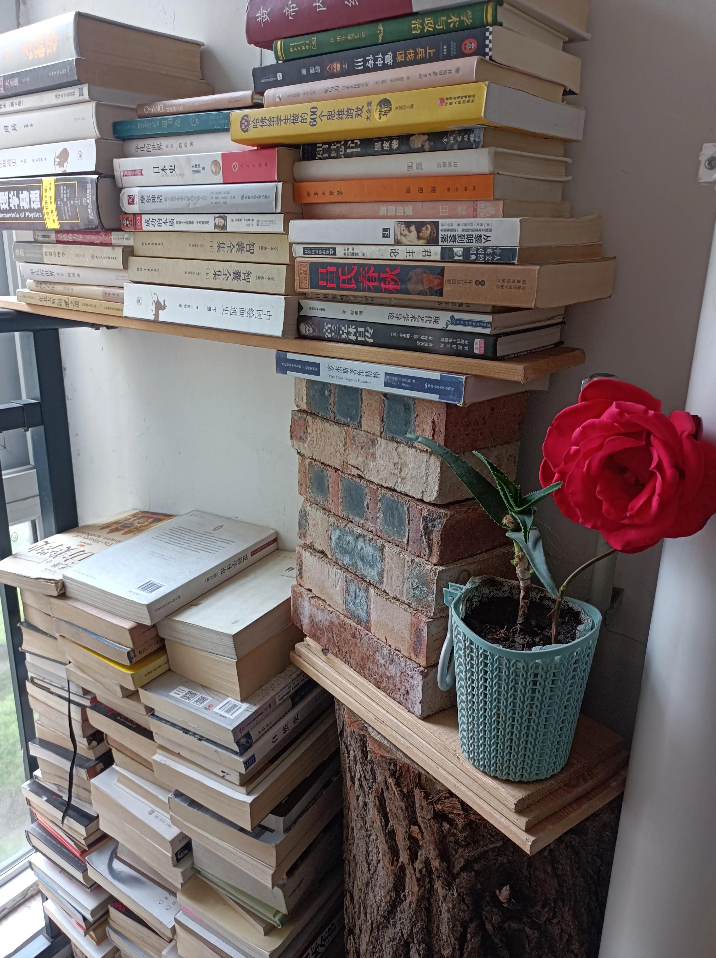Small fun in rainy days, sawing a piece of wood, making a bookcase. - iNEWS