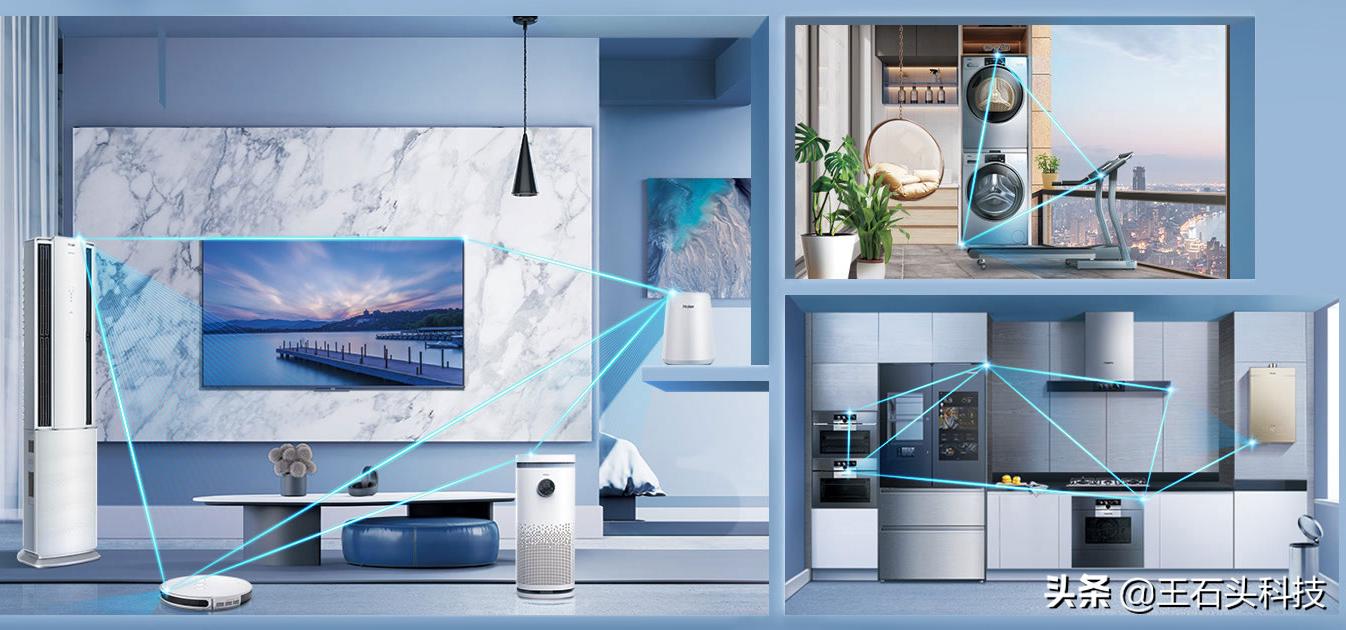 Why is Haier's three-winged bird called the world's first "scenario ...