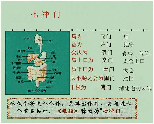 What do Qichong and Jiaohai mean in Dao Lang's new song "Luocha Haishi ...