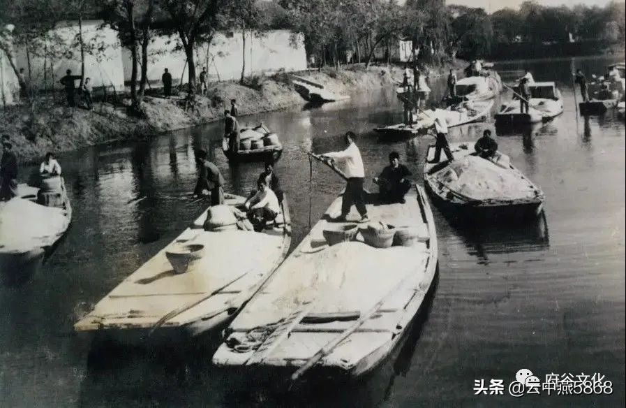 Kang Wenhui: Thousands of Miles of Yellow River to Transport Grain - iNEWS