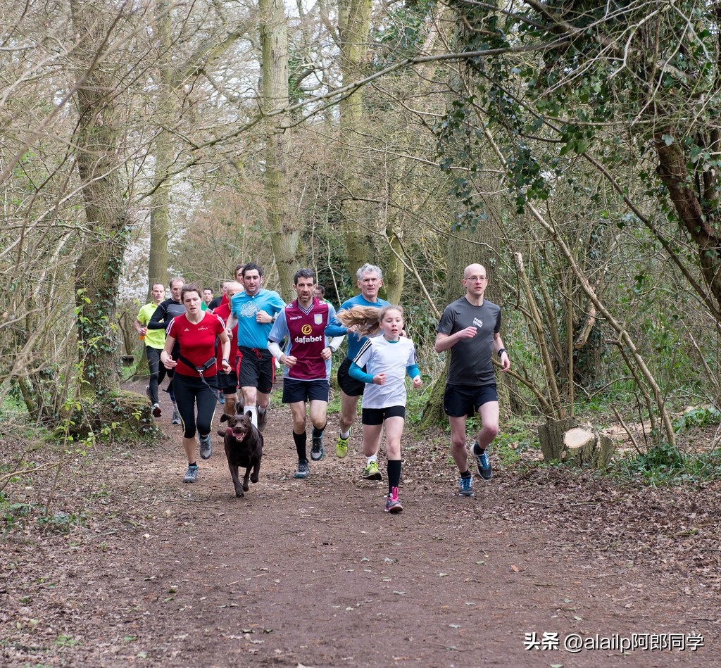 How do runners perform a fartlek run?Here are a few ways to improve ...