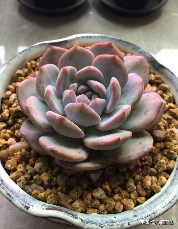 Particles are divided into two types: "soft and hard". Hard particles ...