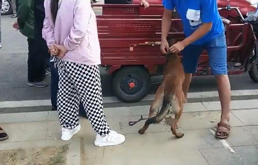 He lied that he would buy it back and feed it. After 500 dogs were ...