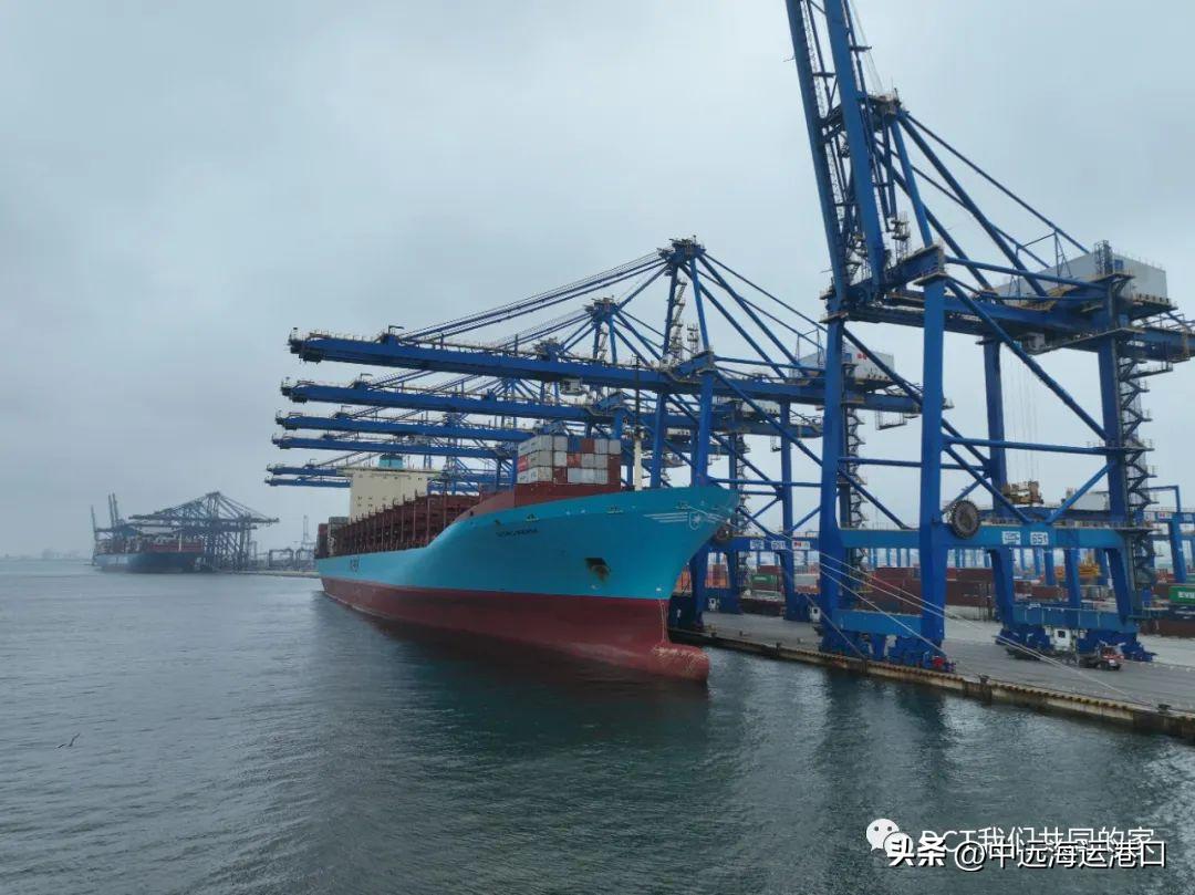 Live news!Dalian DCT Terminal Refreshes 3 Single Vessel Operation ...