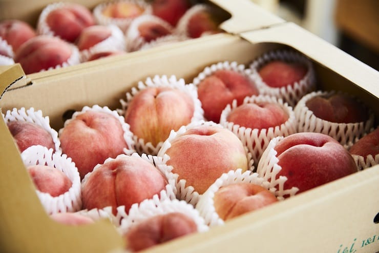 Japanese peach, quiet and fragrant taste, refreshing - iNEWS
