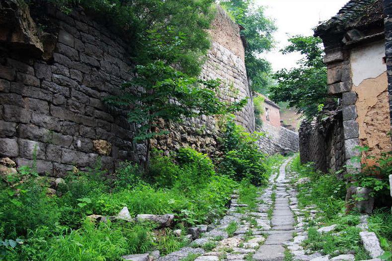 "Tsinghua Research Goddess" Yan Ning: Overcame 50 years of unsolved ...