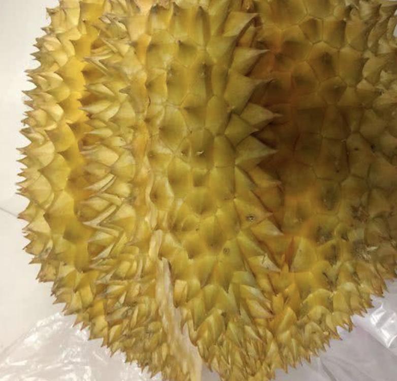Pick durian magic skills, never step on thunder - iNEWS