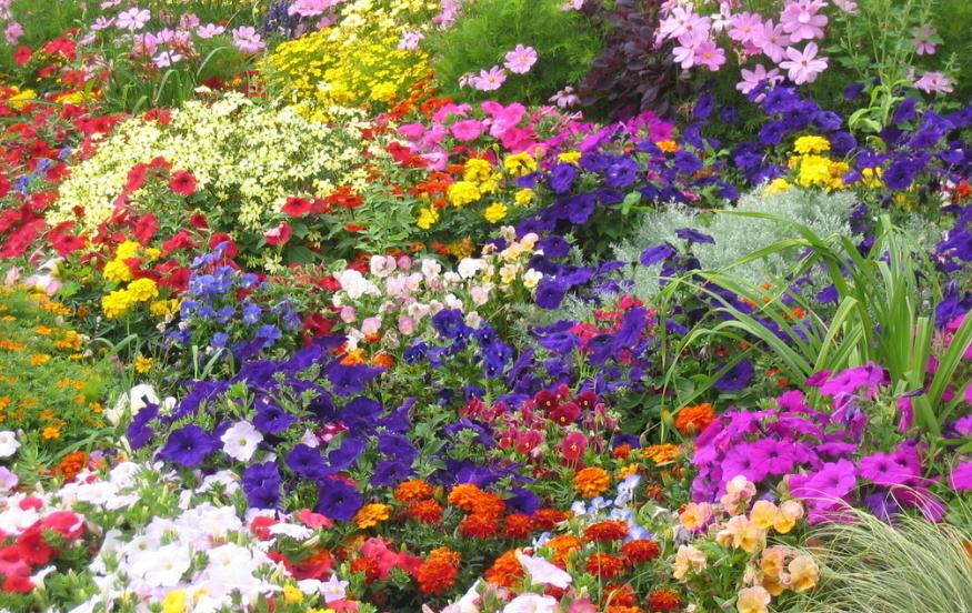 10 Relaxing Poems After Reading, Each Adds Coziness and Poetry to Life ...