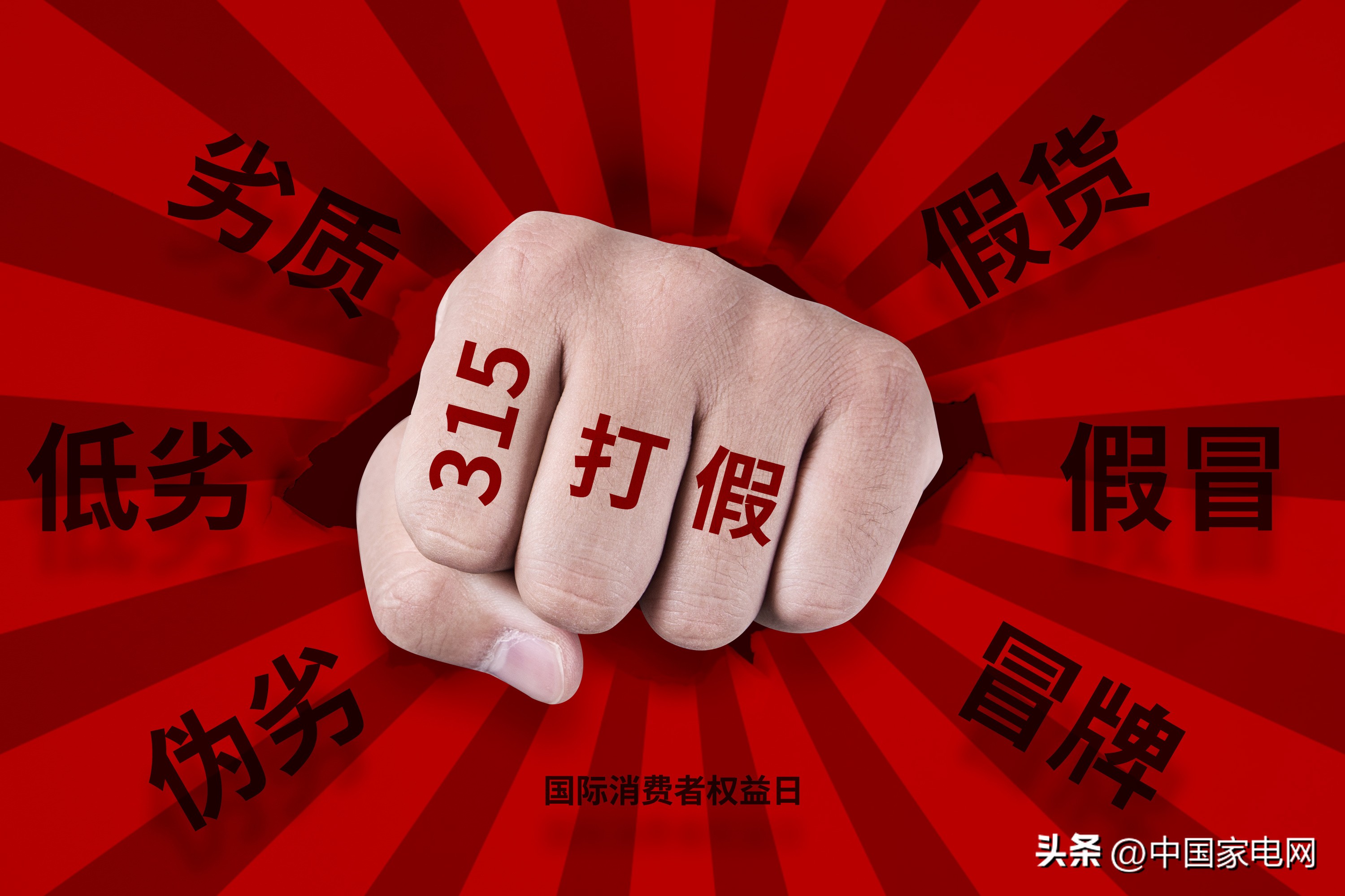 Please keep this "Lightning Protection Guide" for home appliance ...