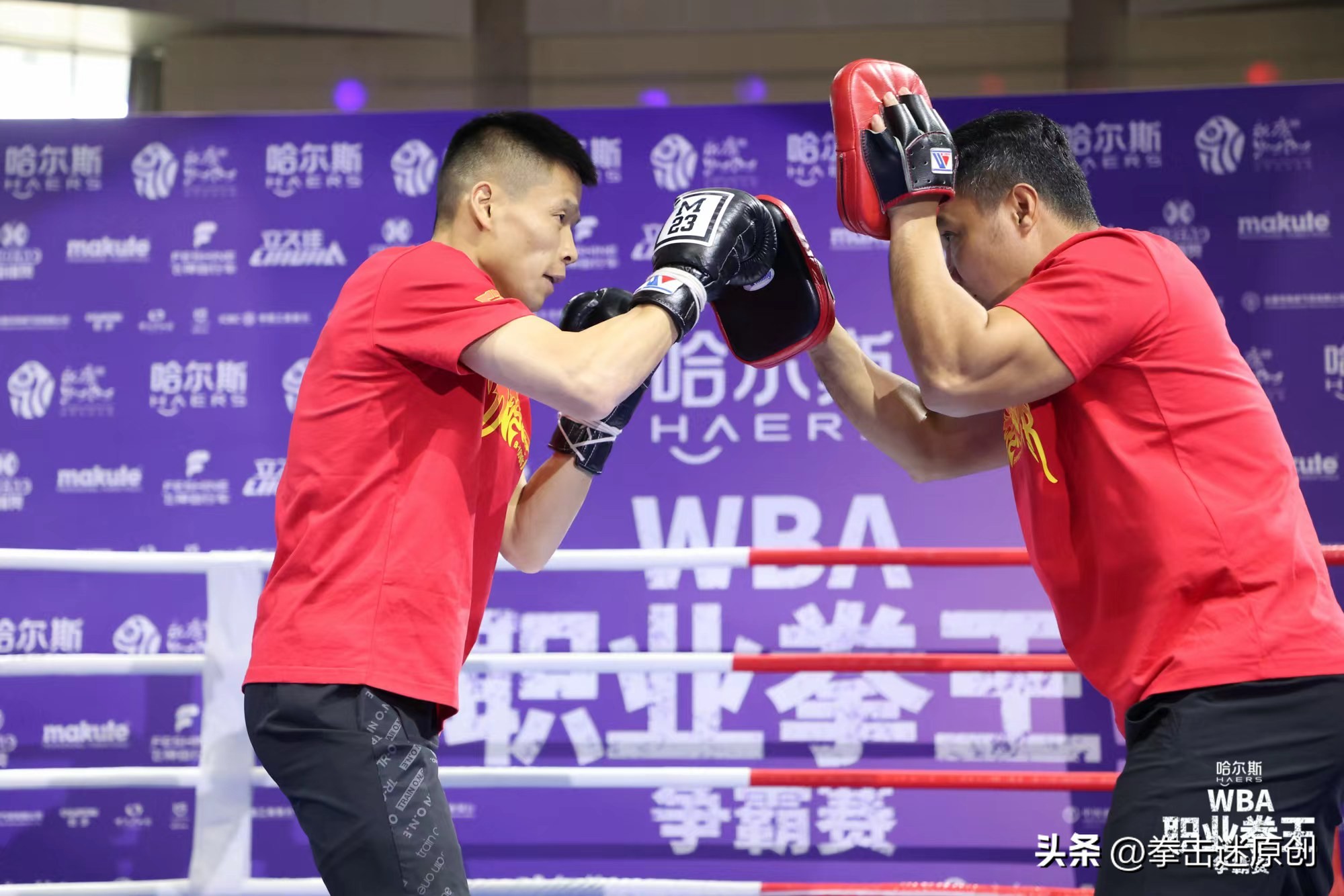 Thai boxer claims: take away the gold belt! Chinese boxing star Lu Bin ...