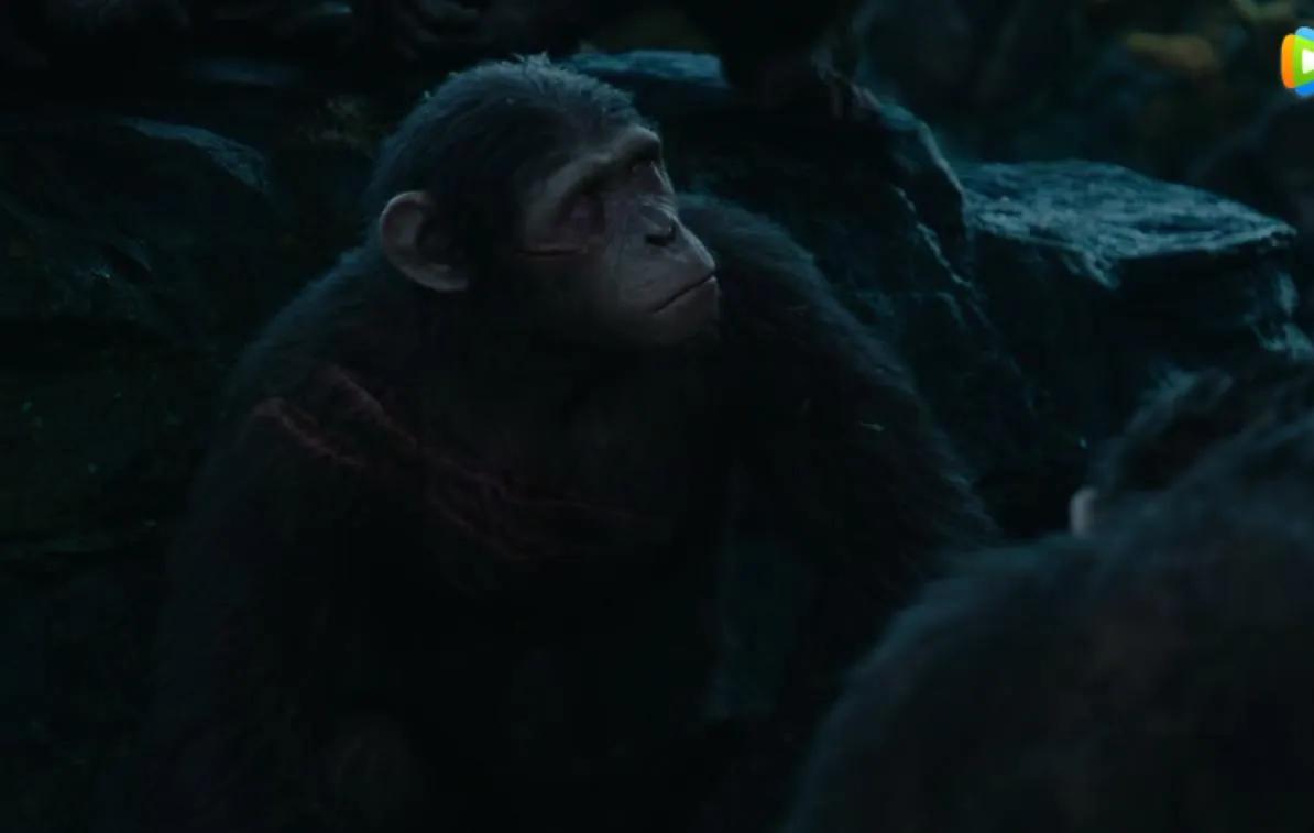 Science fiction movie: "Ape flu" broke out in humans, almost extinct ...