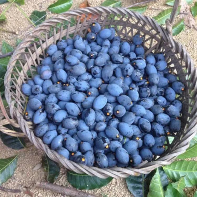 The taste of Lao Guang, this fruit becomes a delicious dish after ...