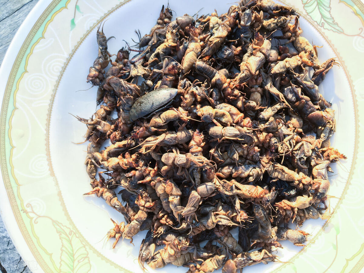 105. Spring Food - Fried Mole Crickets and Fried Taro Cake - iMedia