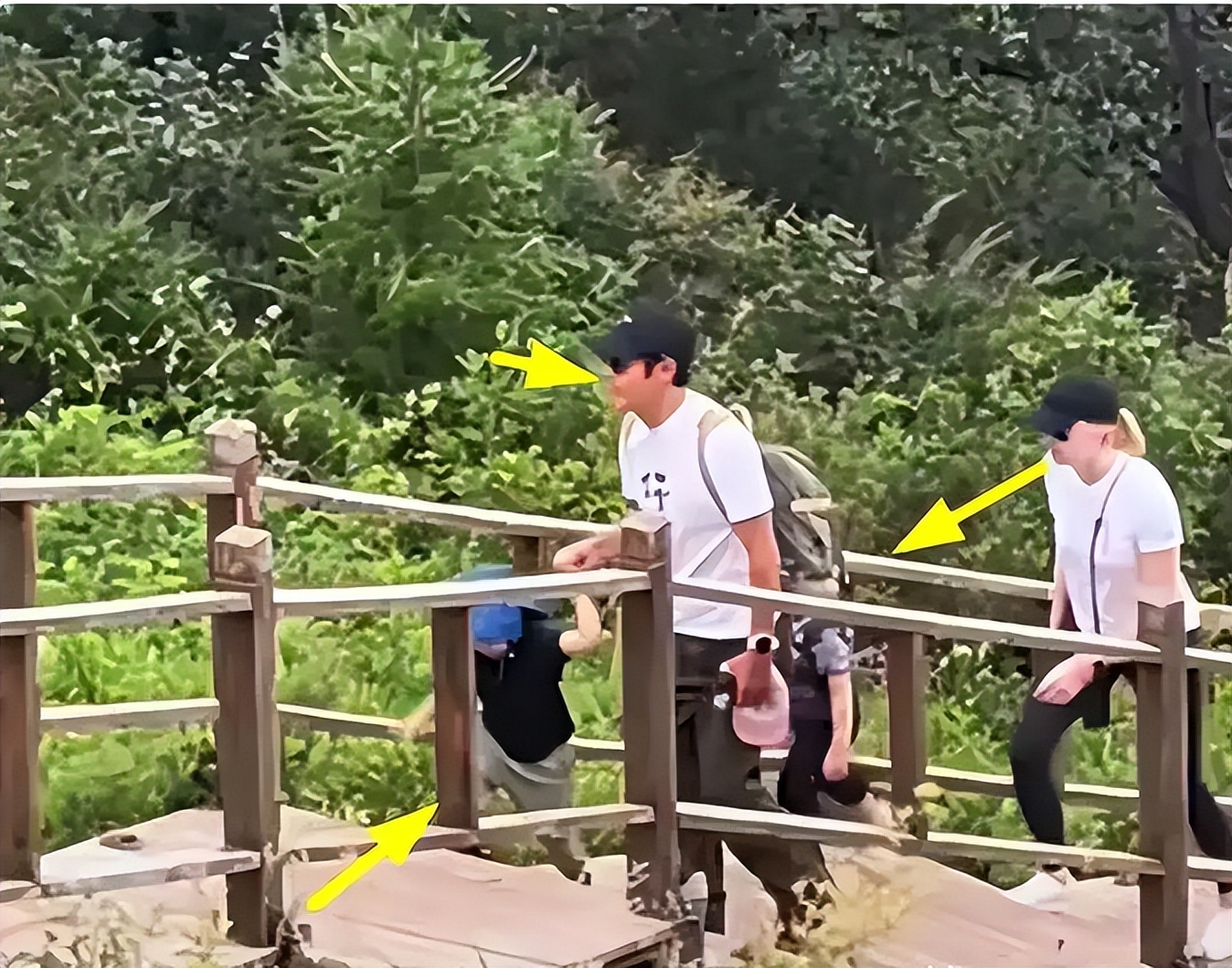 Sa Beining's family of 4 climbed mountains, and the frontal photos of ...