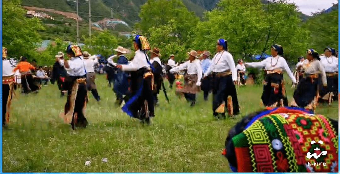 [National Culture] Ruomu New - Flower Watching Festival in Jiarong Area ...