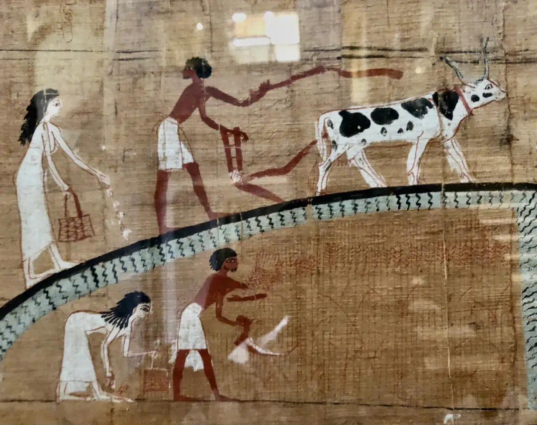 The Unique Beauty of Art: A Study of Painting and Decoration on Papyrus ...