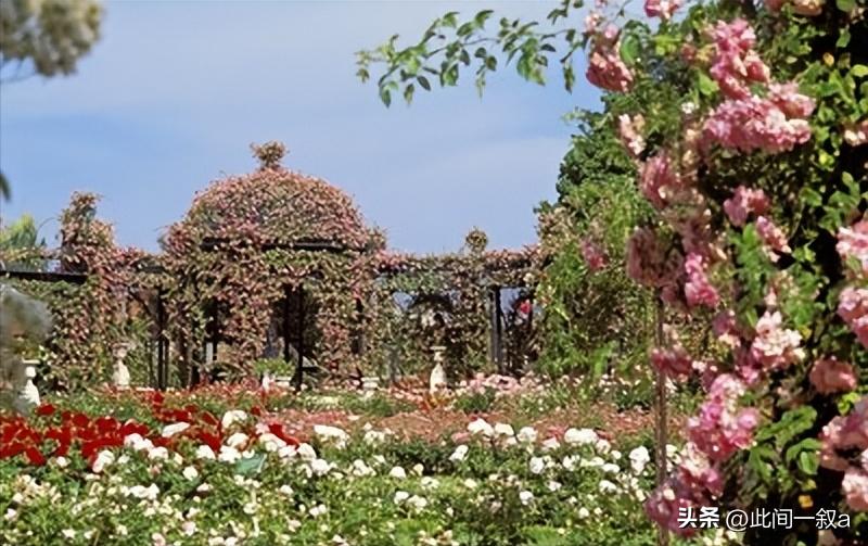 What changes did the rose garden and palace courtyard of the British ...