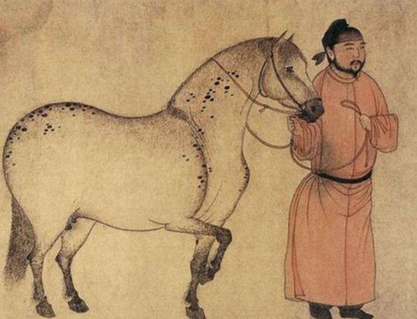 During the Ming Dynasty, how did Nanzhili solve the burden of stallion ...