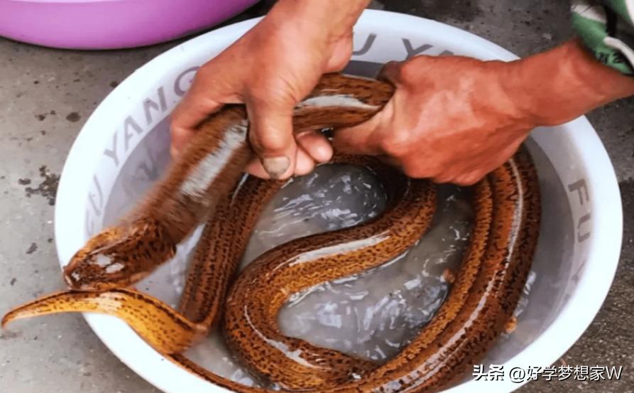 4 kinds of food with a lot of parasites, not only fresh but also ...