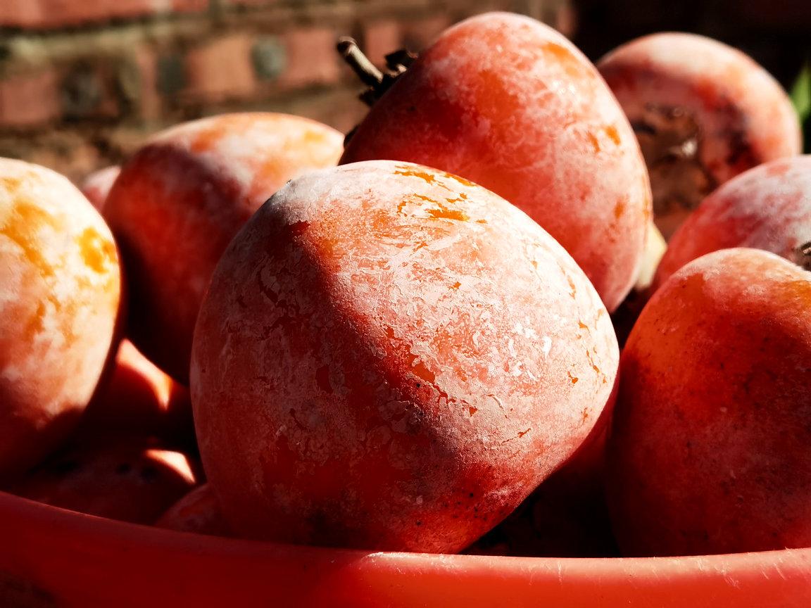 The first person who successfully promoted the use of "one catty and ...