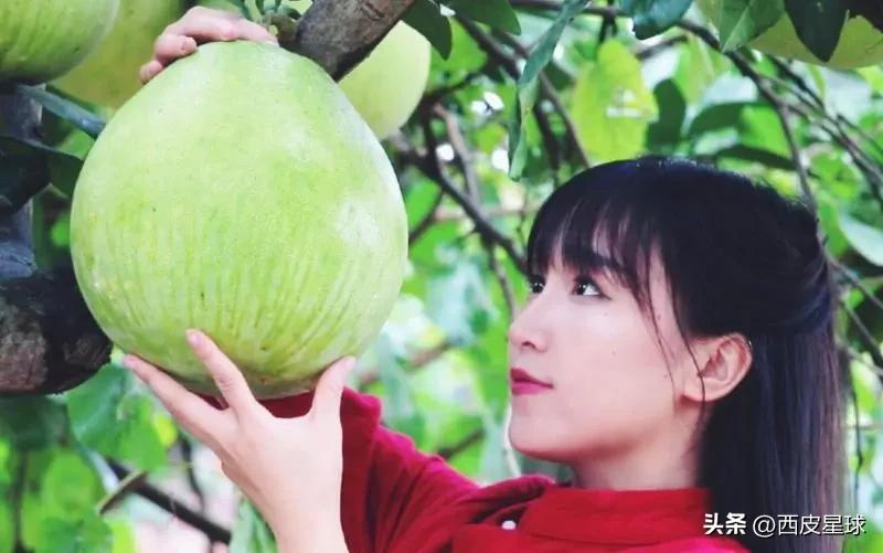 Li Ziqi, who was slaughtered, has now disappeared for a year, and her ...