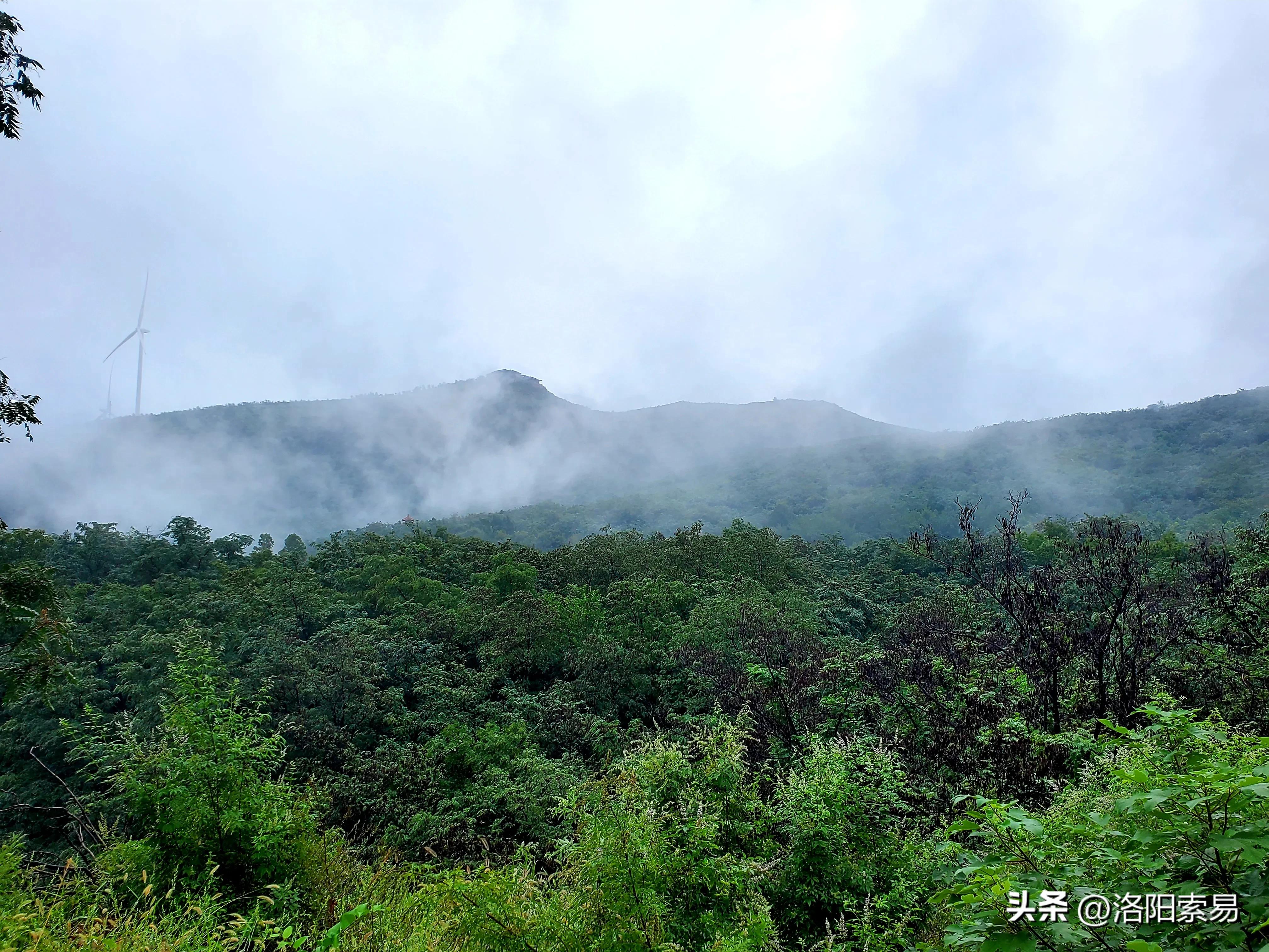 In-depth Luoyang tour of Wan'an Mountain to discover Yuan Tiangang's ...