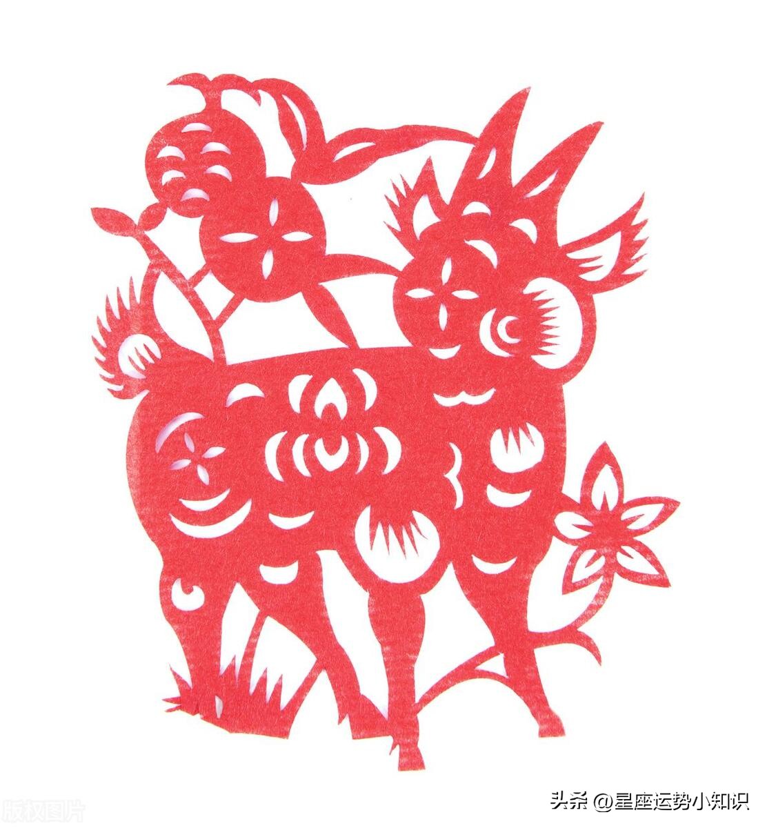The four zodiac signs that should be paid more attention to in the life ...