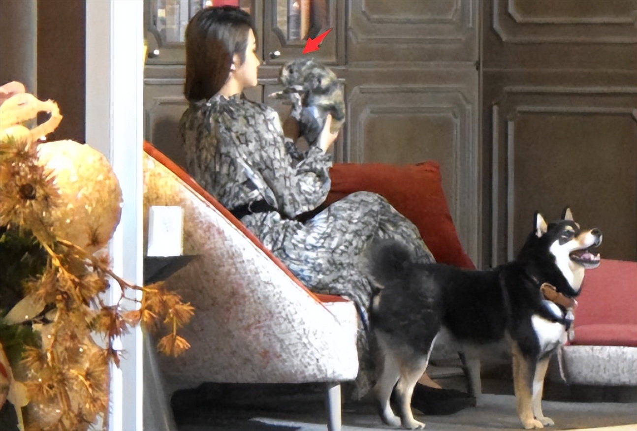 Pang Jingfeng and his girlfriend rarely show up, holding a pet dog and ...