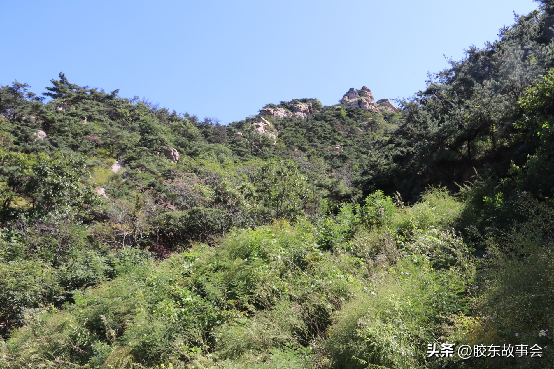 I saw a strange stone on Kui Mountain in Muping, Yantai, the shape is ...