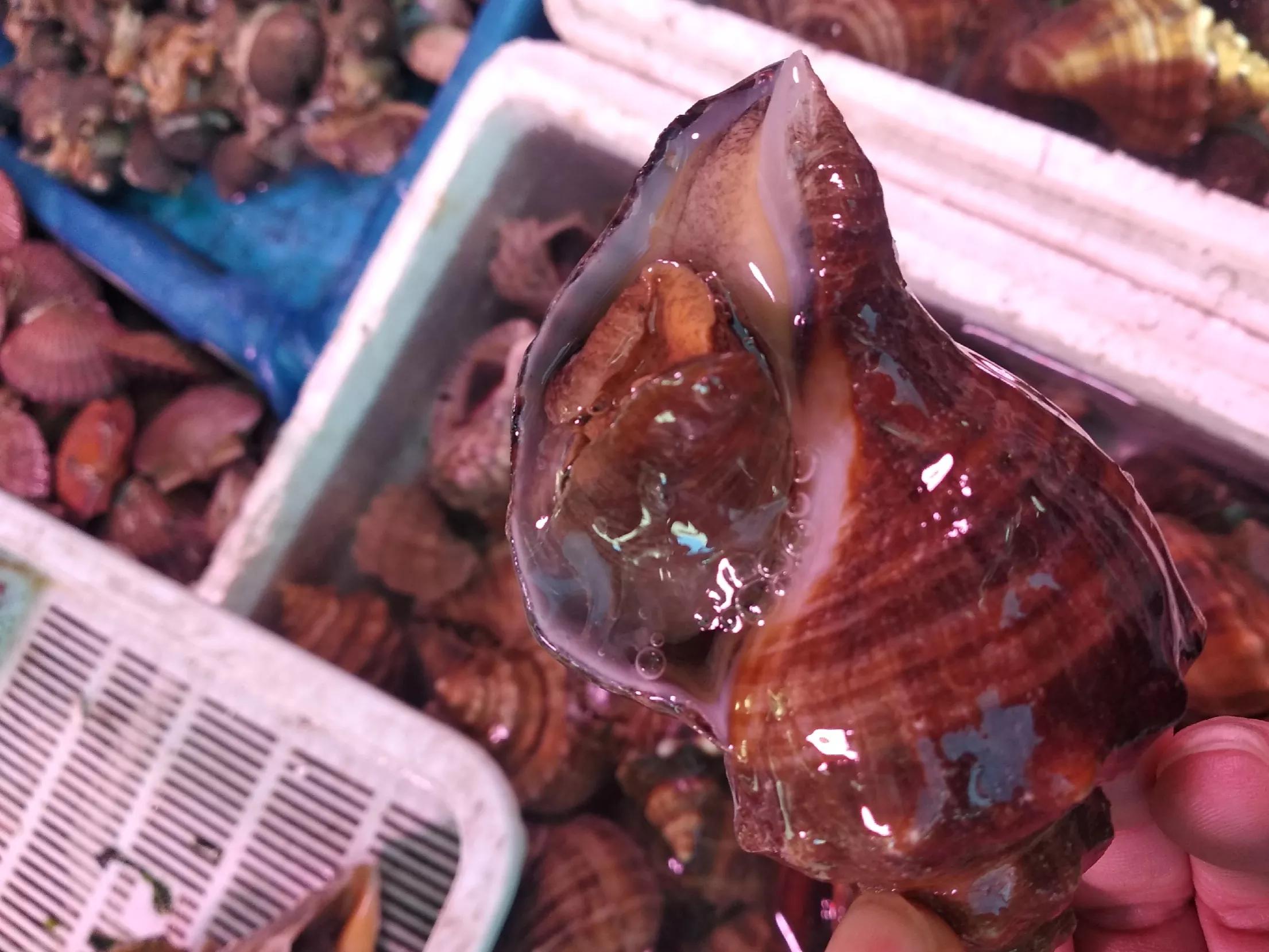 Eat conch, is the tail yellow or shit?Can you eat it?I figure it out ...