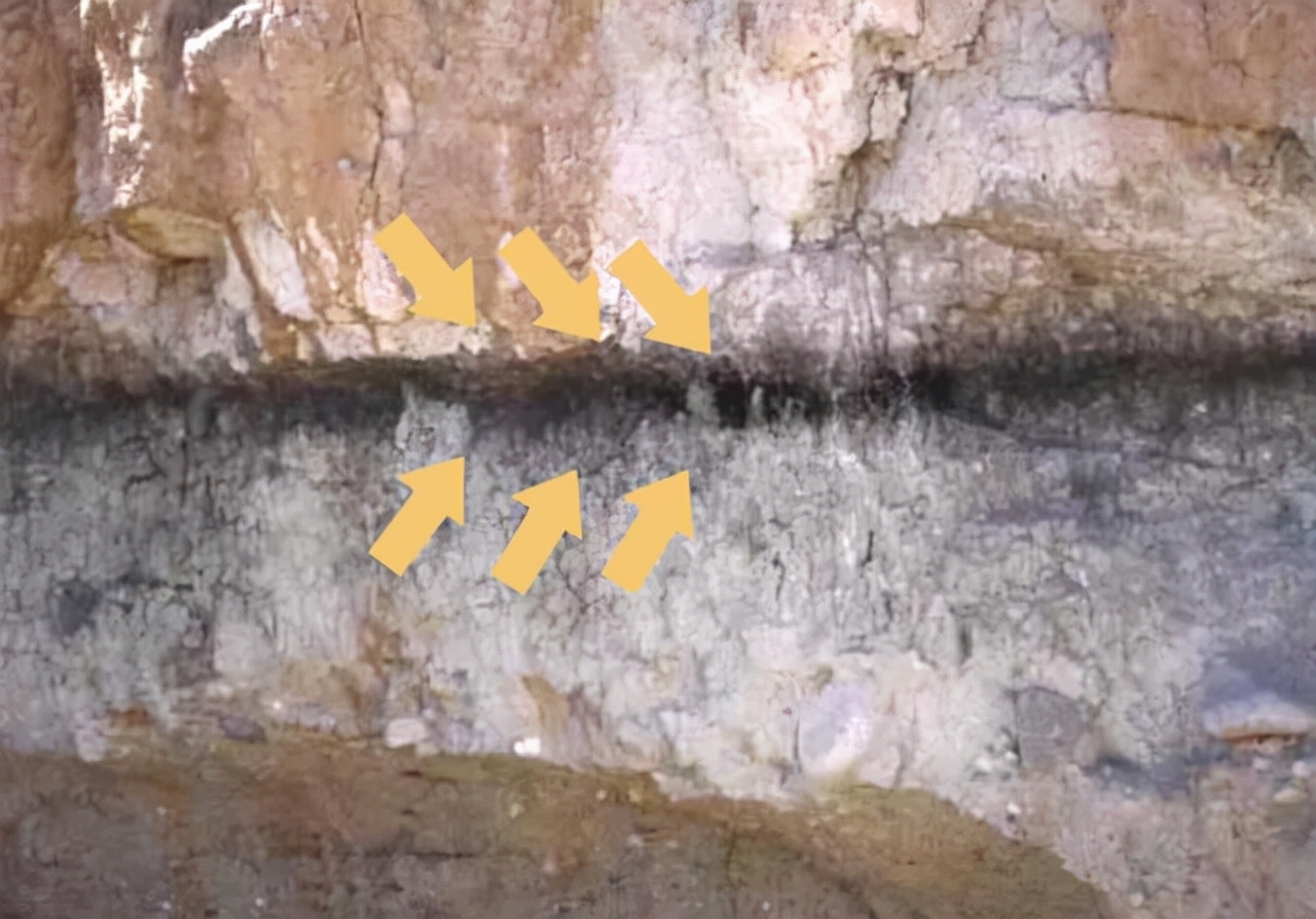 Even the sedimentary fossils are black!The darkest era that mankind has ...