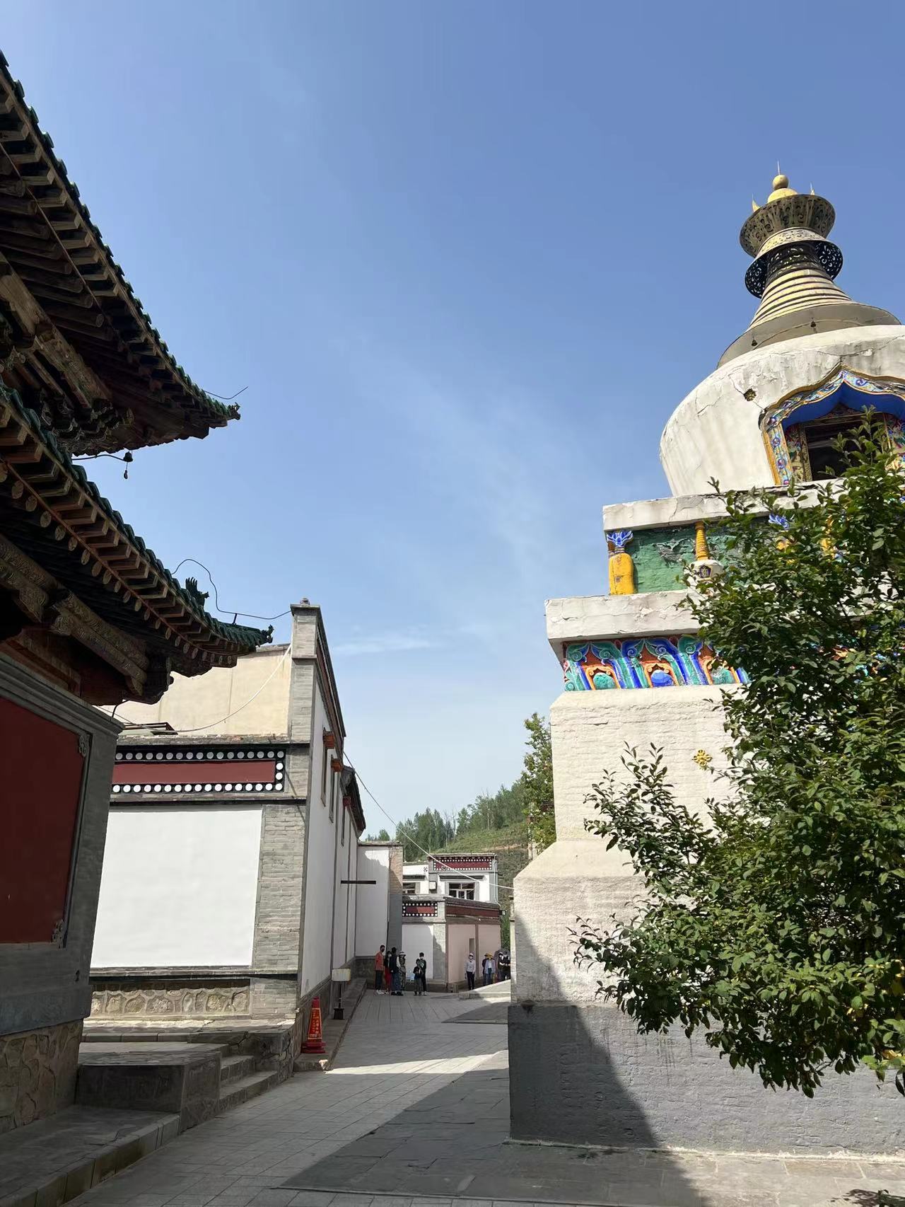 Return to Xining, meet Ta'er Temple - iNEWS