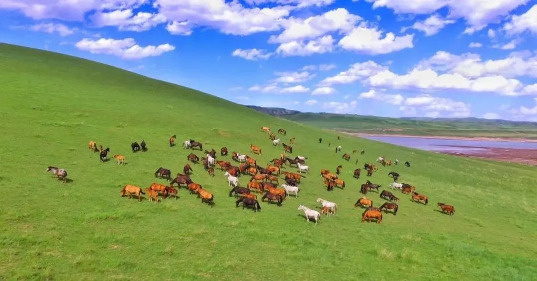 Heading westward, enjoy Zhangye Shandan - iNEWS