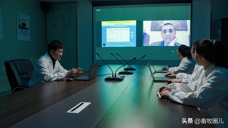 Sunner Group overcomes the "stuck neck" technology behind white ...