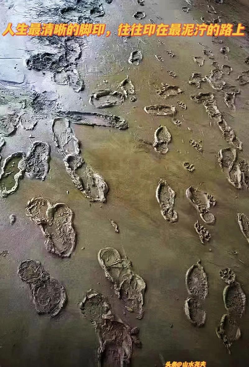 Calling for the end of the "Tiangong" project, Tsinghua University ...