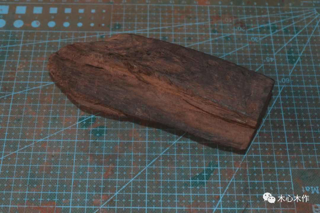 Wood carving snake - iNEWS